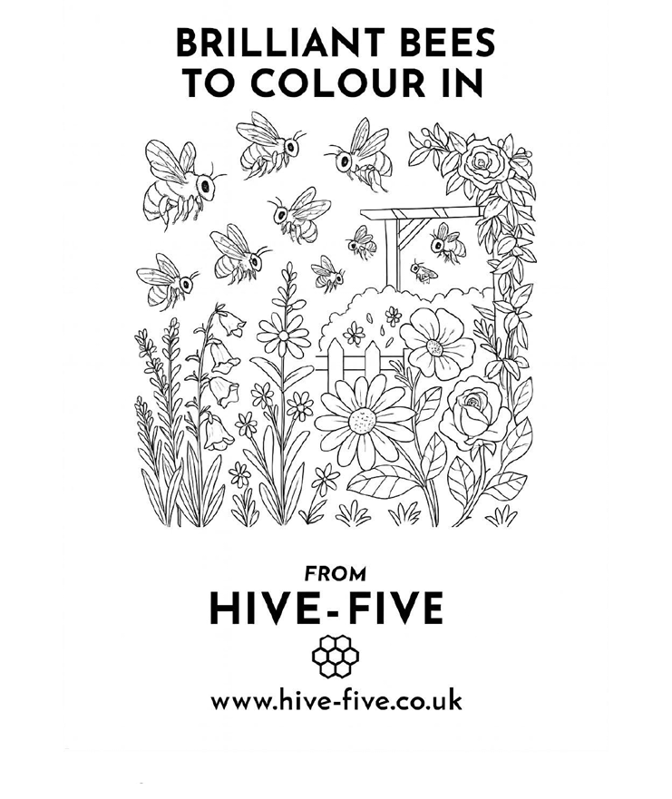 Hive-Five: Award-Winning Beekeeping Equipment in the UK