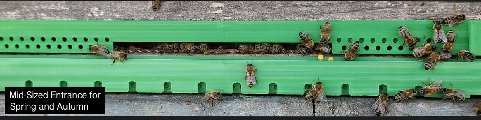 Hive-Five: Award-Winning Beekeeping Equipment in the UK