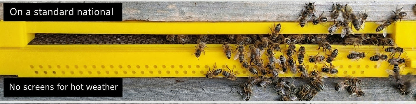 Hive-Five: Award-Winning Beekeeping Equipment in the UK